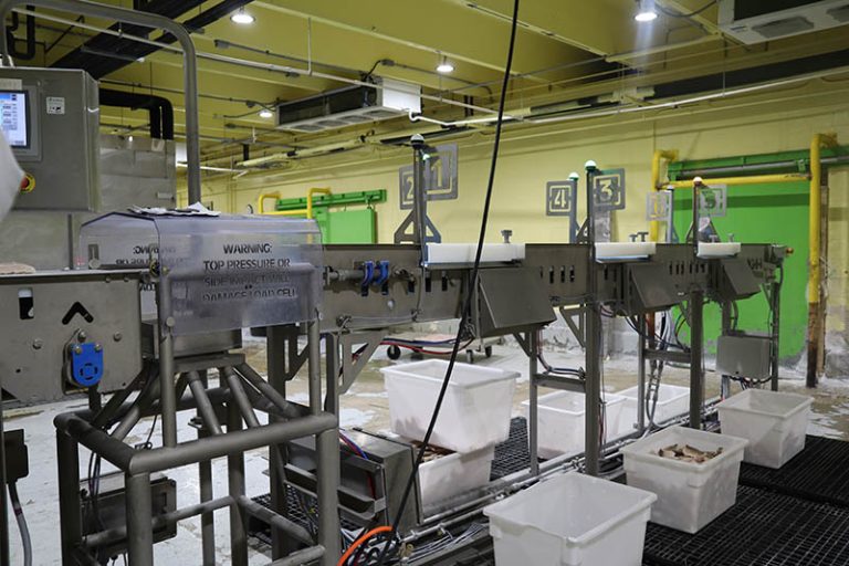 Red Lake Fishery – The Freshest Fish, The Most Positive Outcomes – Wild ...